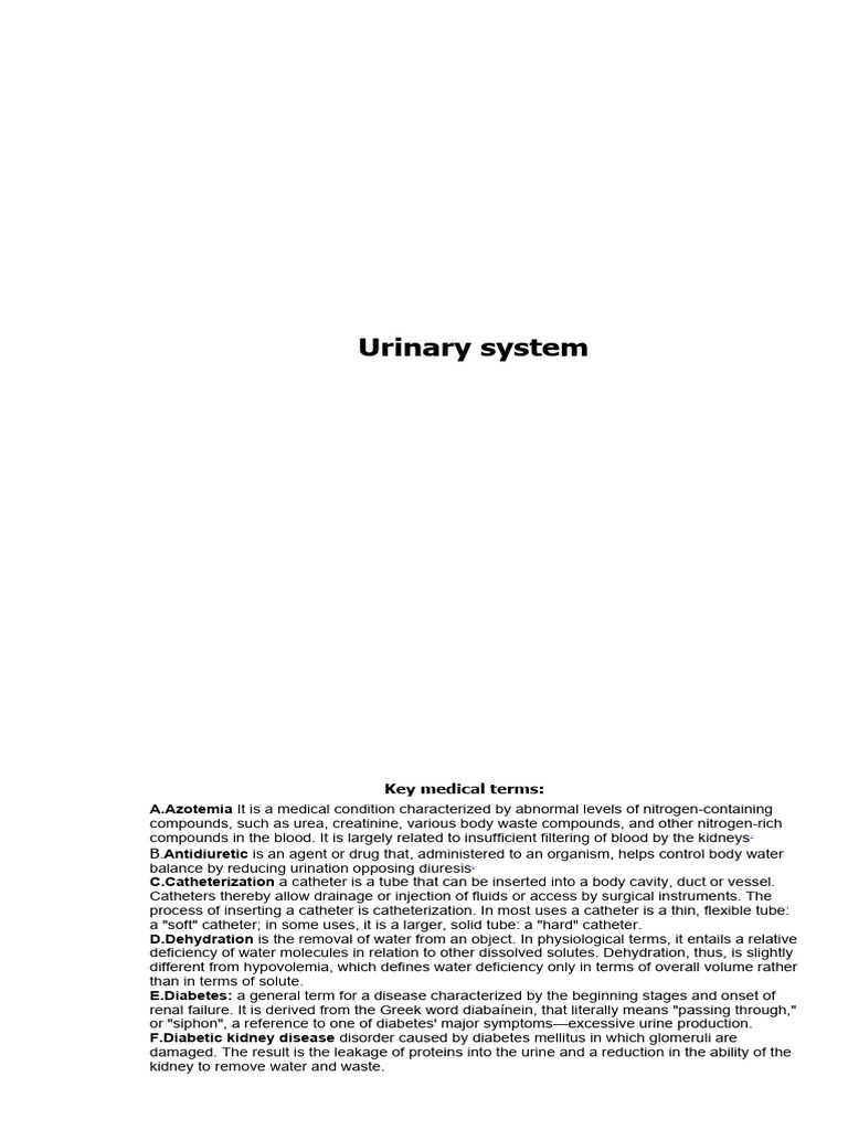 Urinary System | PDF | Urinary Tract Infection | Kidney
