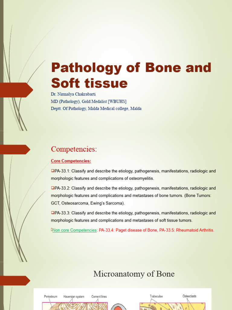 Pathology of Bone and Soft Tissue-Lecture | PDF | Bone | Osteoblast