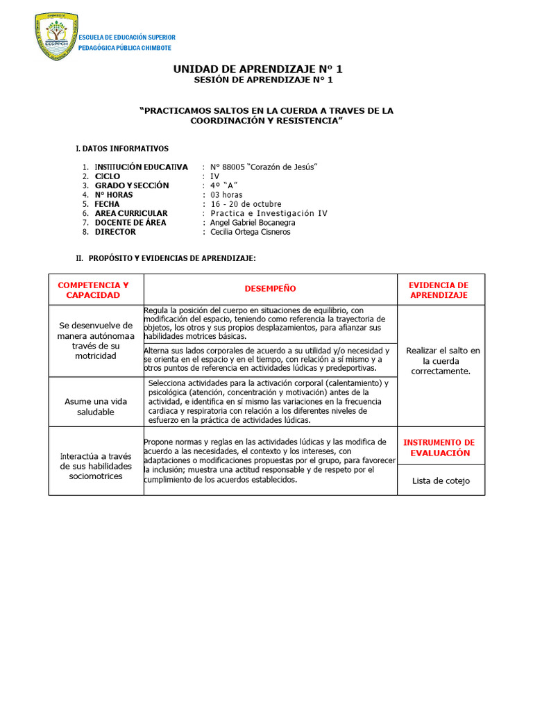 Saltos en la Cuerda: Coordinación y Resistencia | PDF | Aprendizaje ...