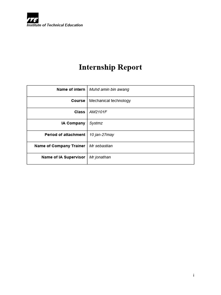 Template For IA Report | PDF