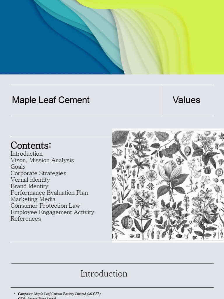 MLCF | PDF | Sustainability | Corporate Social Responsibility