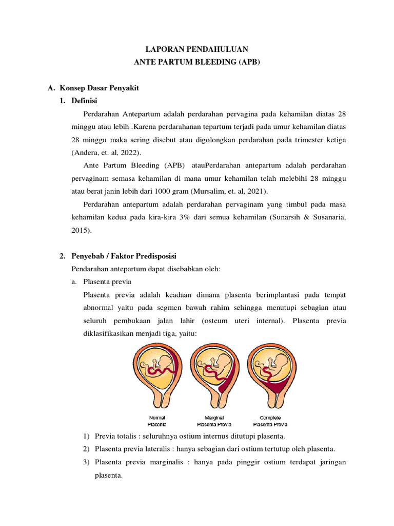 Antepartum Bleeding: Penyebab dan Penanganan | PDF