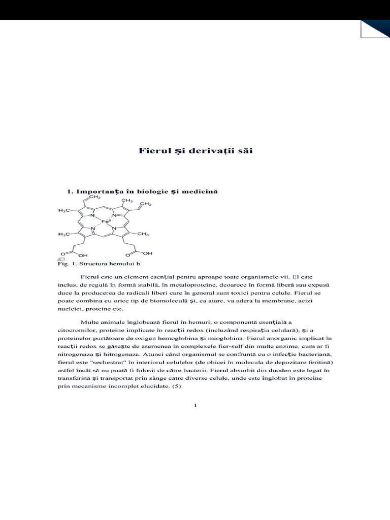 Fierul Si Derivatii Sai | PDF