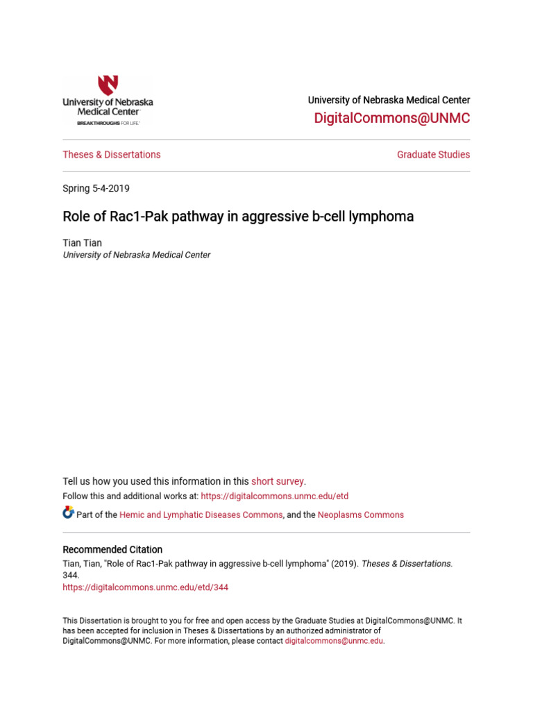 Rac1-Pak Pathway in B-cell Lymphoma | PDF | B Cell | Myc