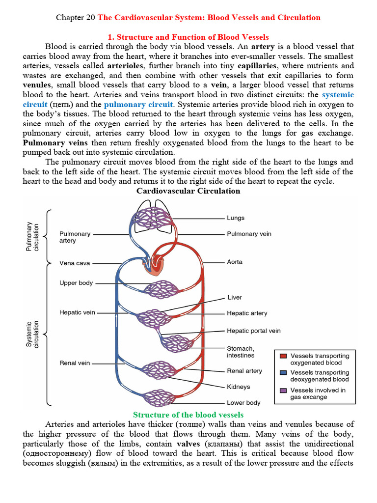OpenStax Rice University 6100 Main Street MS-375 Houston, Texas 77005 ...