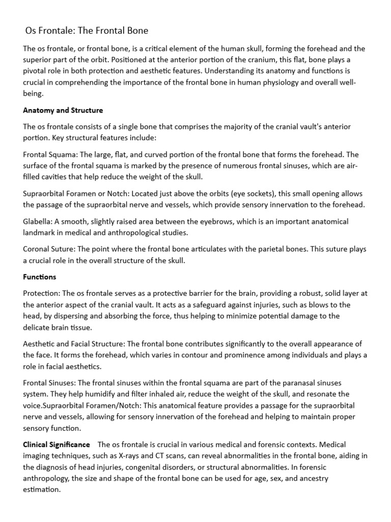 Os Frontale | PDF | Skull | Morphology (Biology)