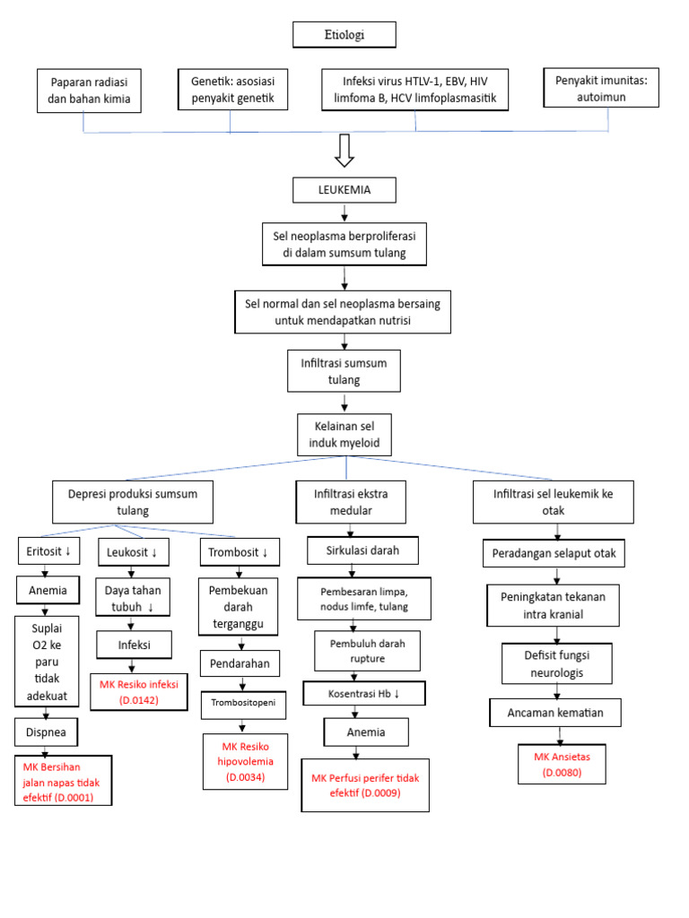 Woc Leukemia Dan Anemia | PDF