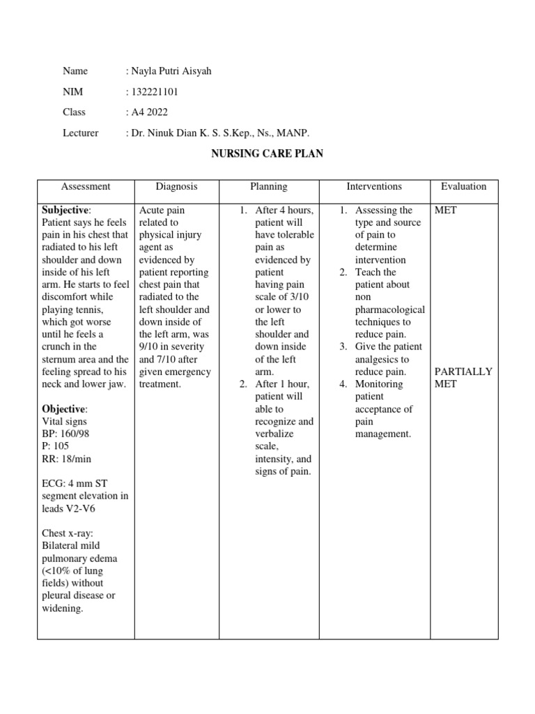 Nursing Care Plan | Download Free PDF | Pain | Thorax
