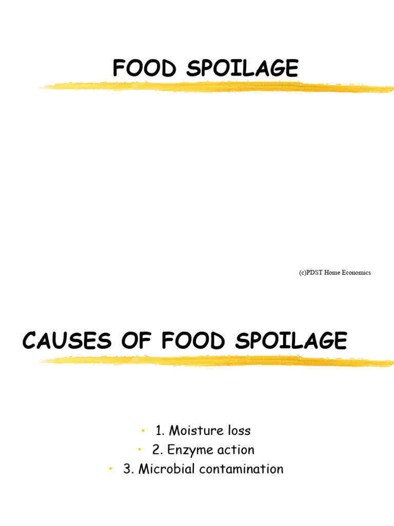 Food Spoilage | Download Free PDF | Decomposition | Vegetables