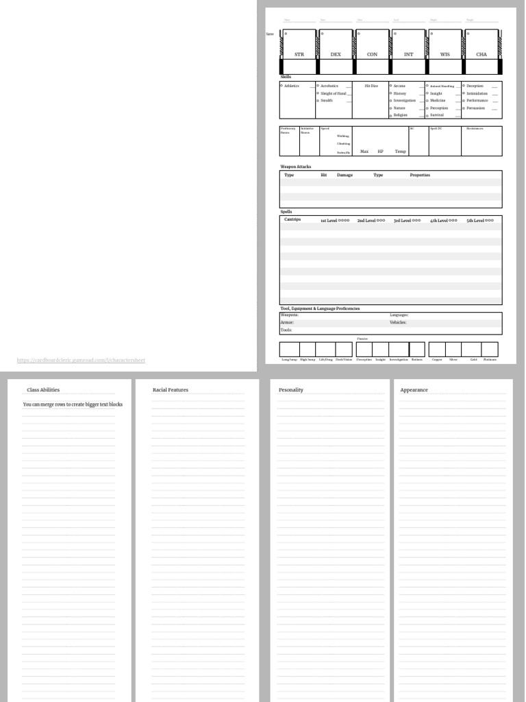 Comprehensive Character Sheet Template | PDF