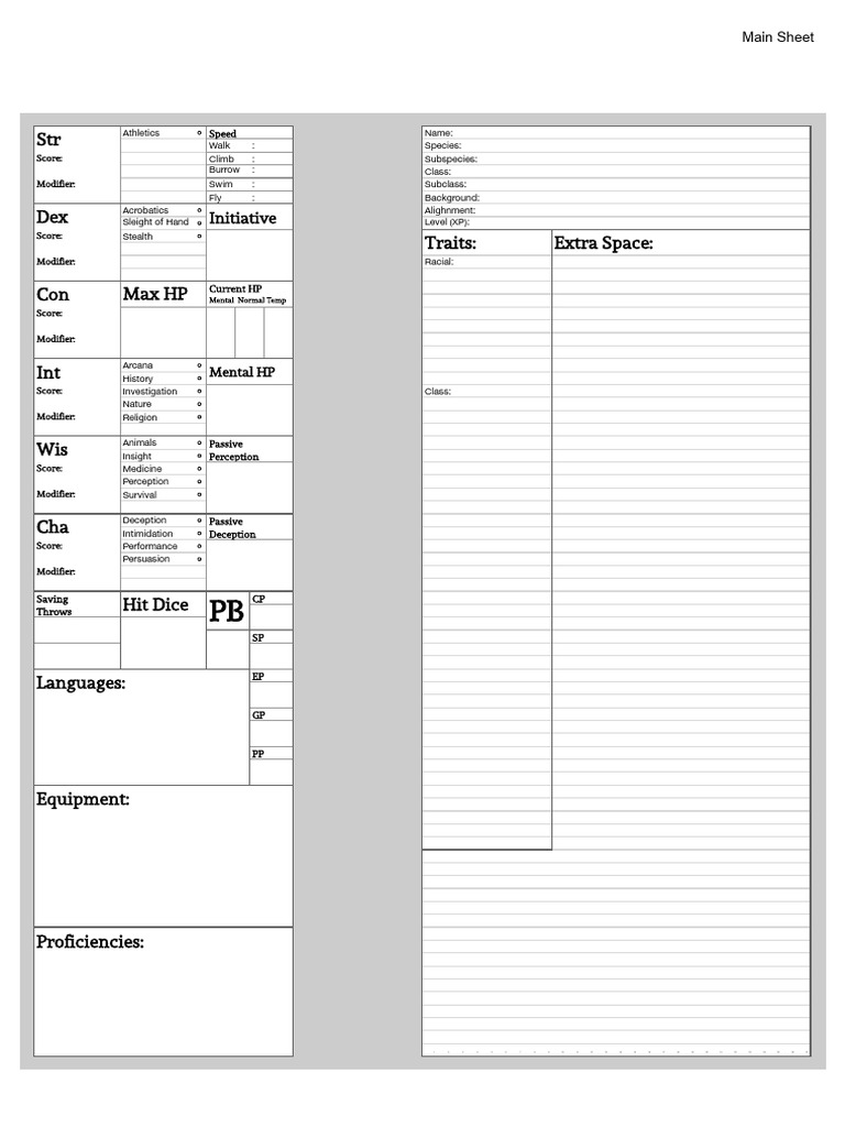 Homebrew Character Sheet For D&D 5e | PDF | Role Playing Games