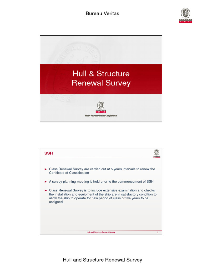 Hull and Structure Renewal Survey Guide | PDF | Deck (Ship) | Ships