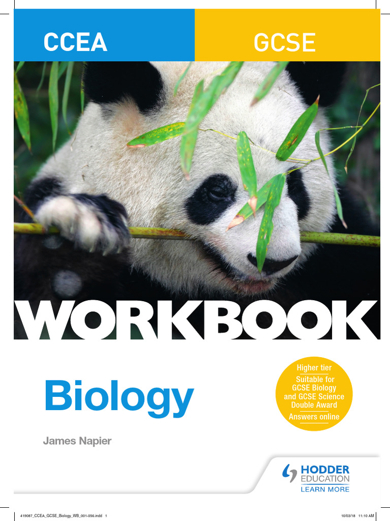 Biology Cells and Photosnythesis Worksheets Gcse Ccea | PDF ...