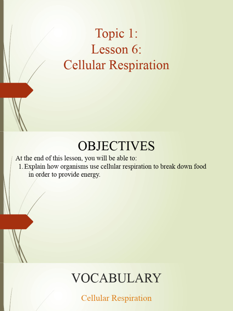 G7 Q1 Topic 1 Lesson 6 Cellular Respiration | PDF | Cellular ...