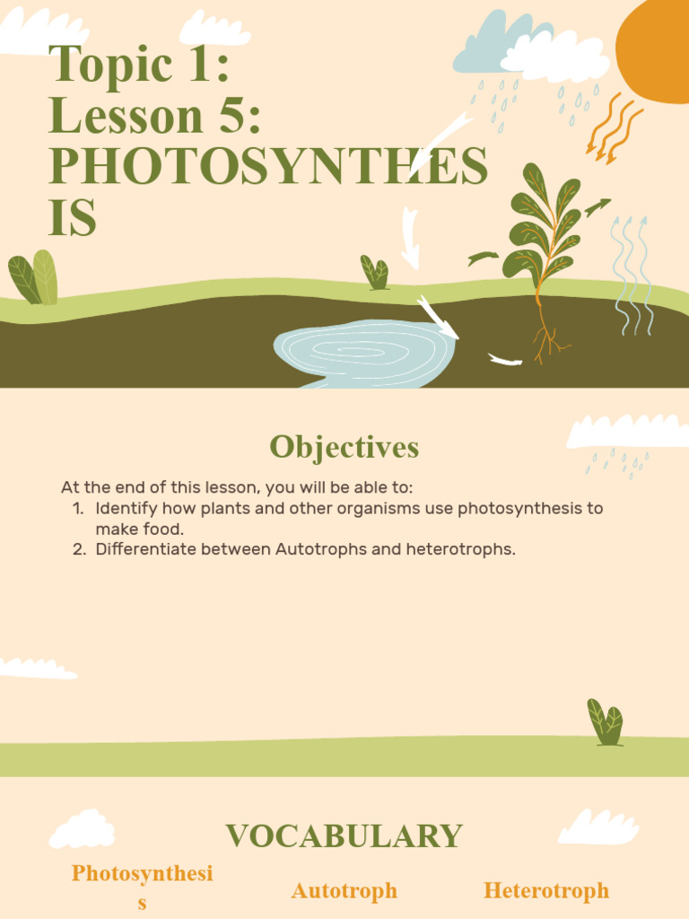 G7 Lesson5 Photosynthesis | PDF | Photosynthesis | Carbohydrates