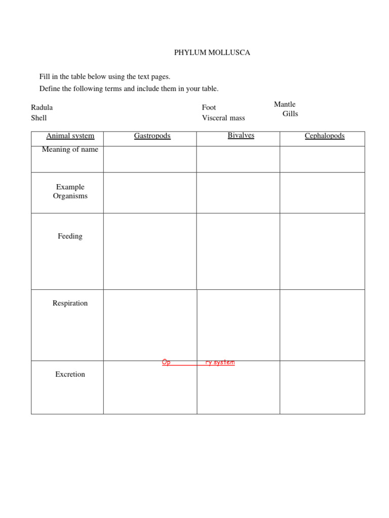 Mollusca Phylum Worksheet | PDF
