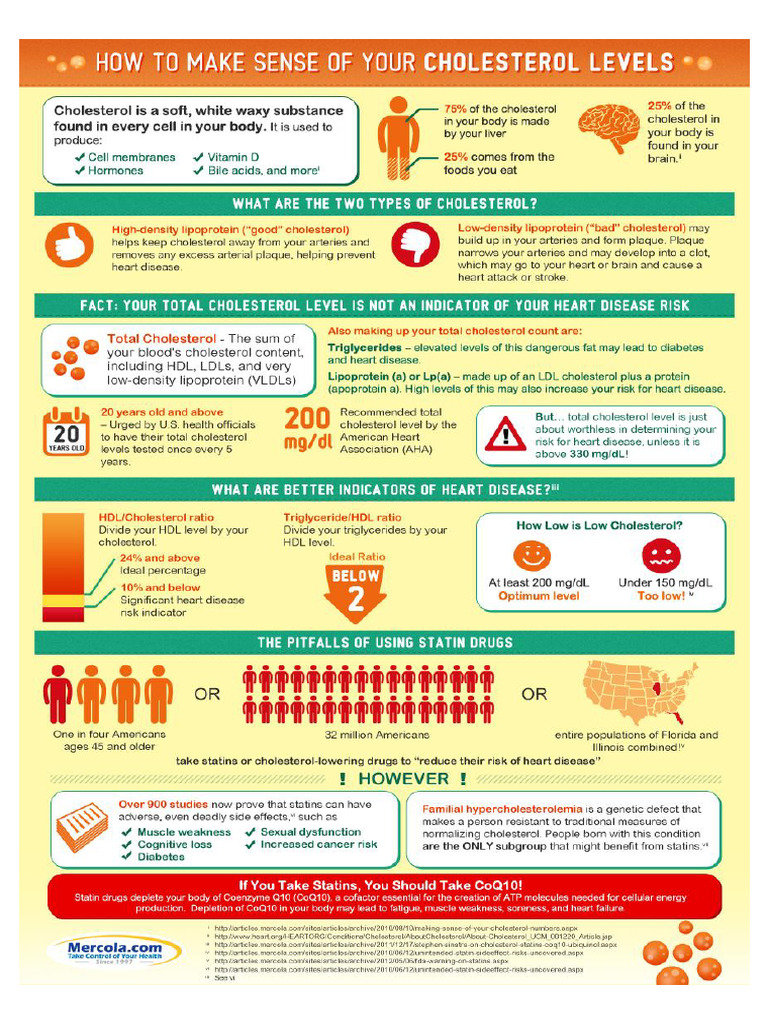 Mercola Cholesterol Chart | PDF