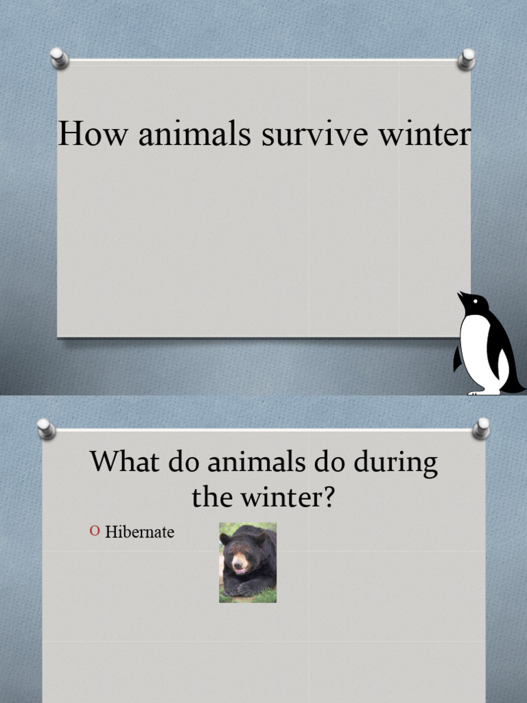 How Animals Survive Winter | PDF