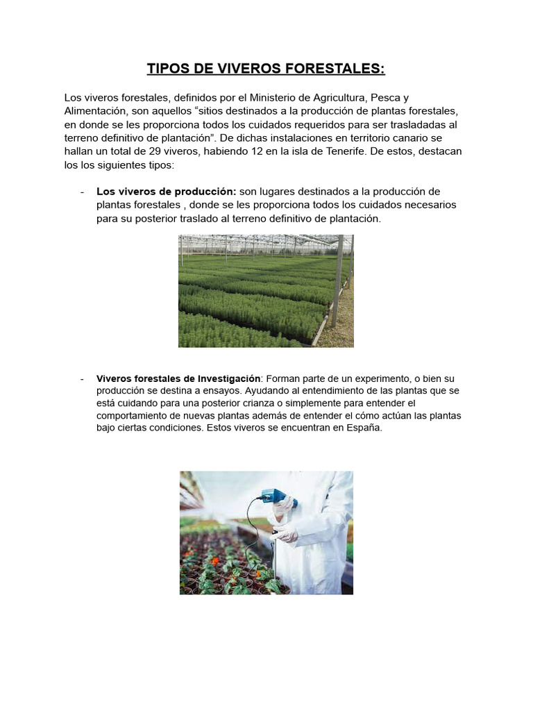 Tipos de Viveros Forestales | PDF