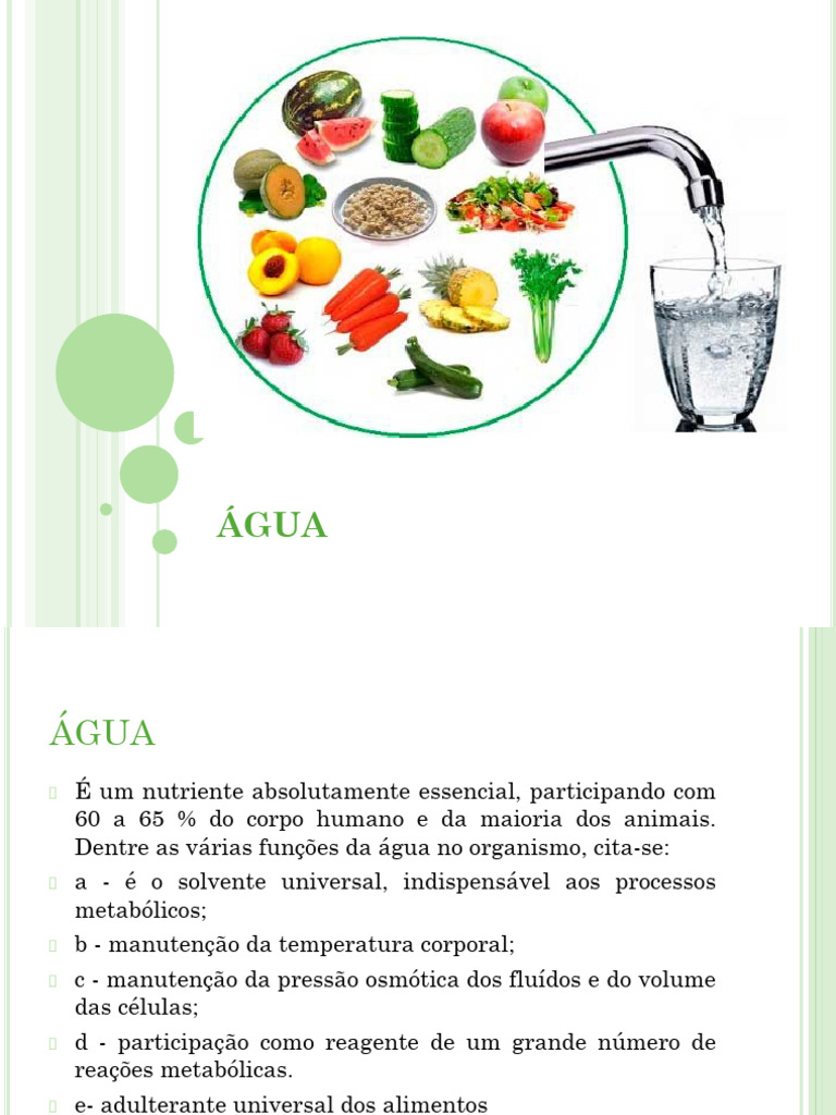 Aula água Sais Minerais E Vitaminas Pdf Vitamina água