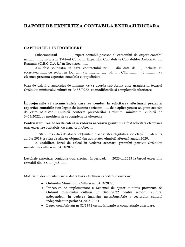 Model Raport Expertiza Contabila | PDF