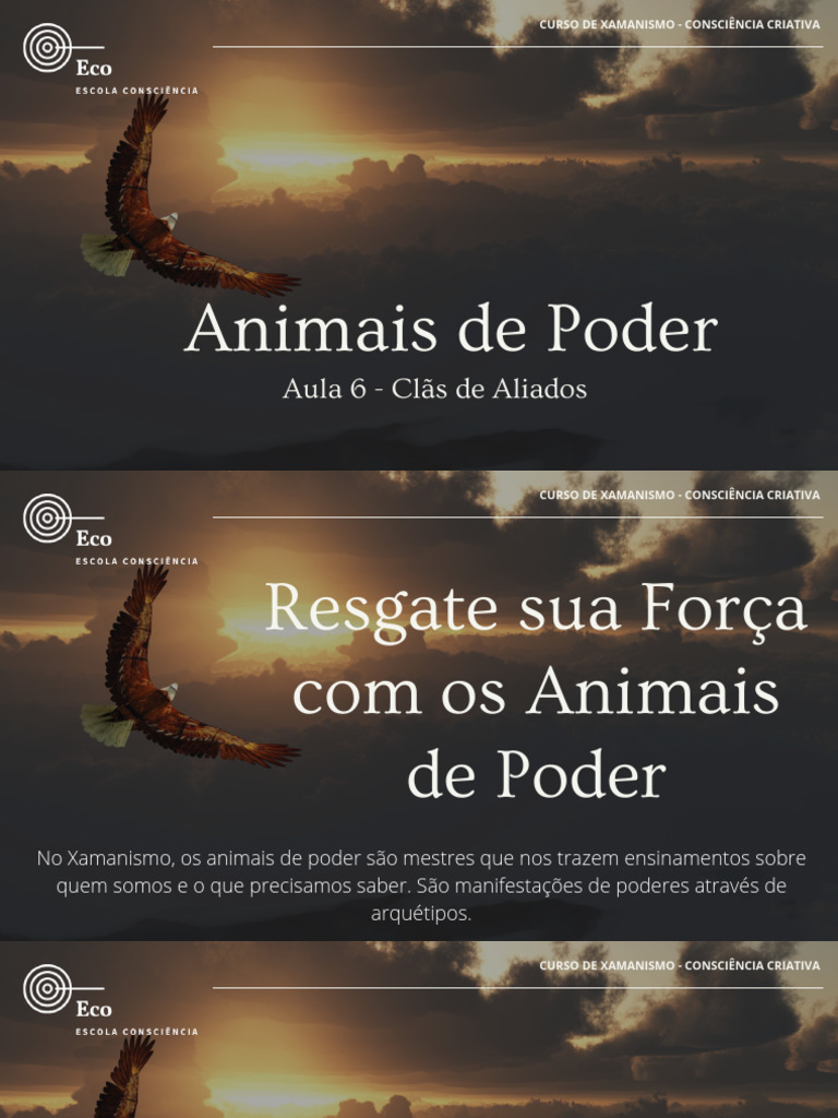 Animais de Poder | PDF | Xamanismo | Vida