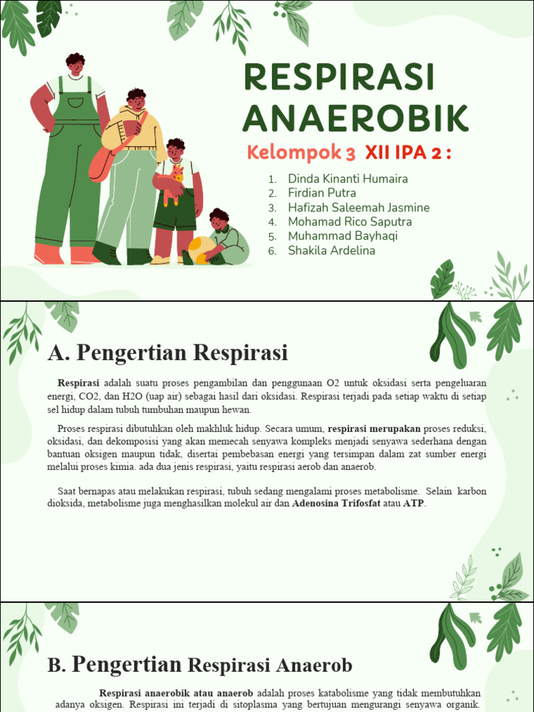 Proses dan Manfaat Respirasi Anaerob | PDF