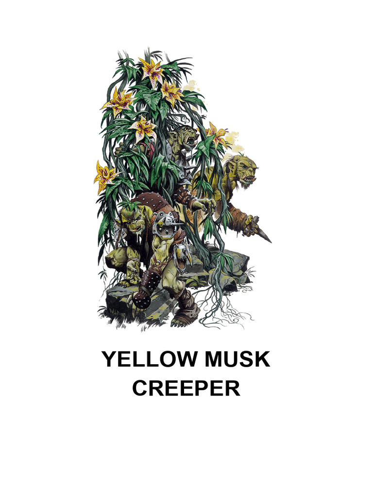 Yellow Musk Creeper | PDF