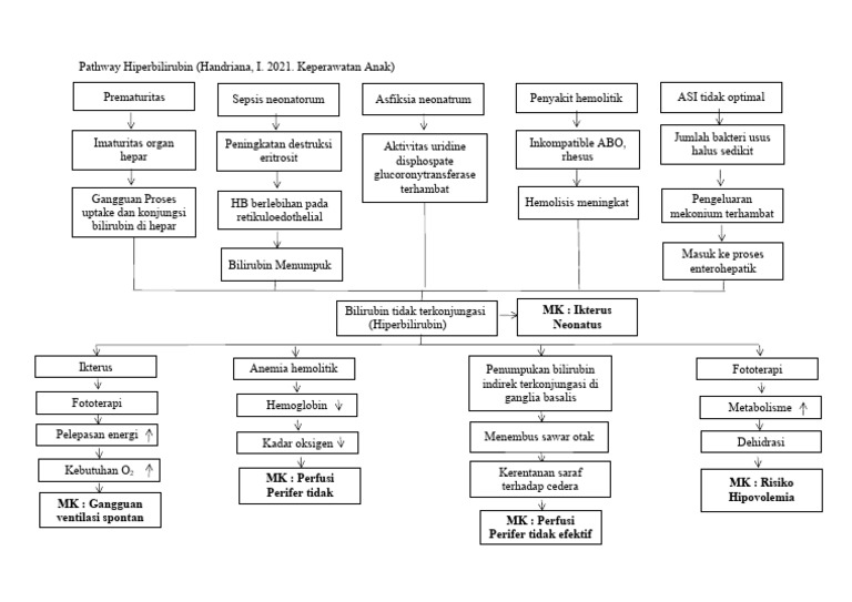 Pathway Hiperbilirubin | PDF