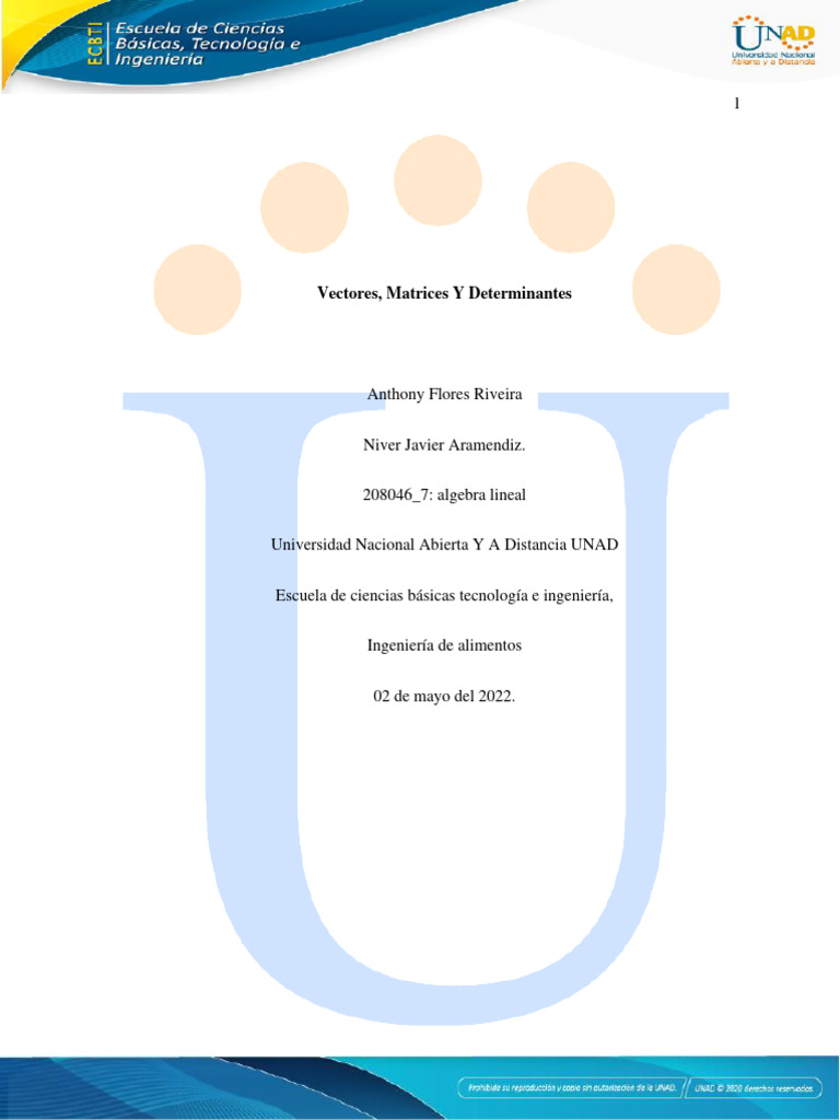 Informe Unidad 1 | PDF | Matriz (Matemáticas) | Determinante