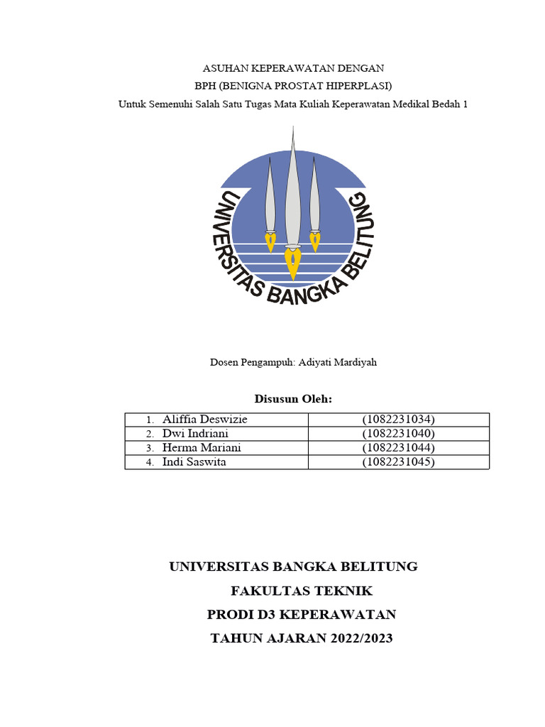 LP BPH (Benigna Prostat Hiperplasia) | PDF