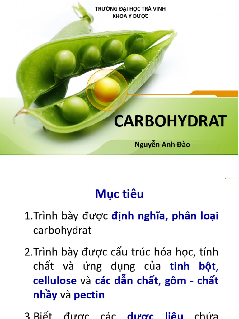 Carbohydrate | PDF