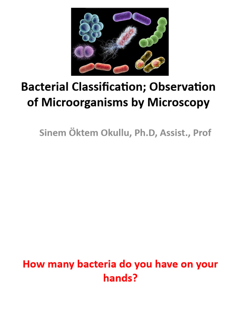 Bacterial Classification Observation of Microorganisms by Microscopy-1 | PDF | Staining | Bacteria