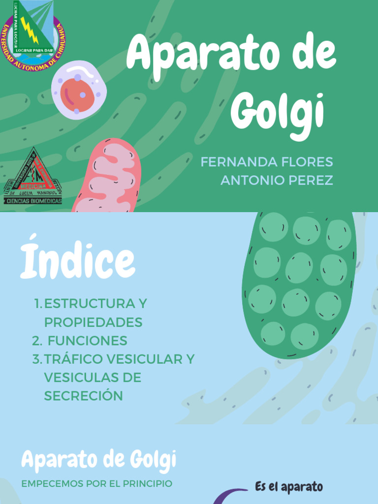 Aparato de Golgi | PDF | Histología | Citoplasma