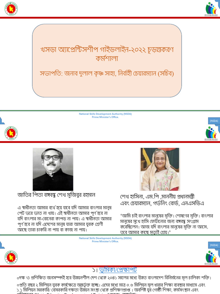 Prsentation On NSDA | PDF