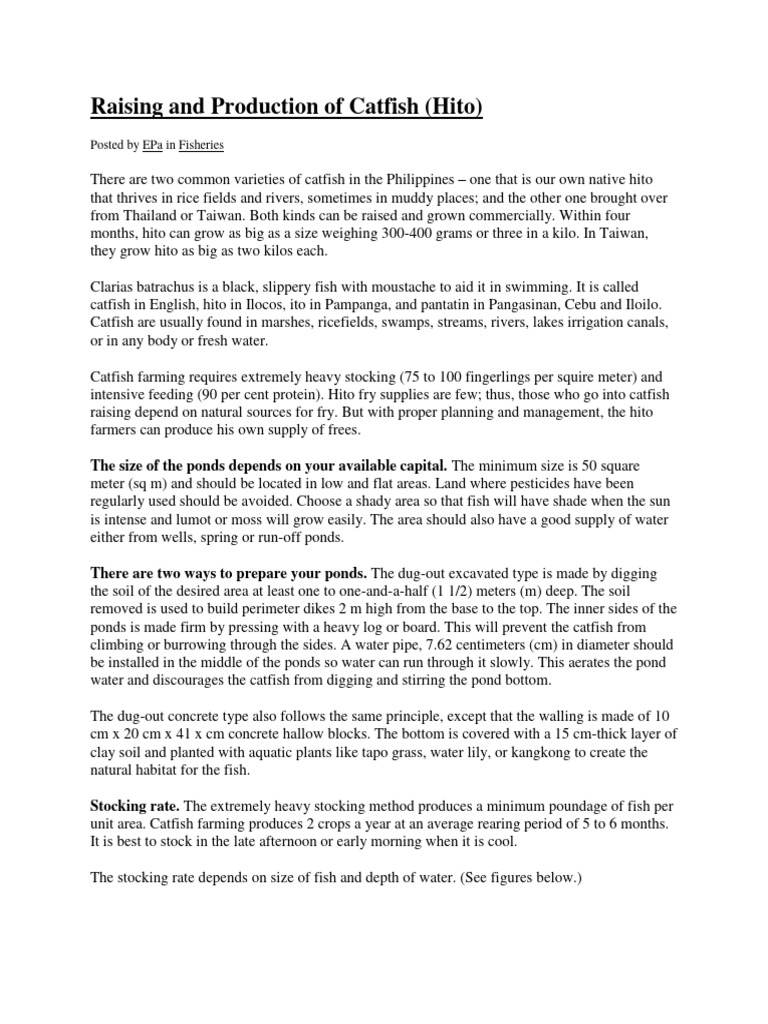 Raising and Production of Catfish | PDF | Fish | Spawn (Biology)