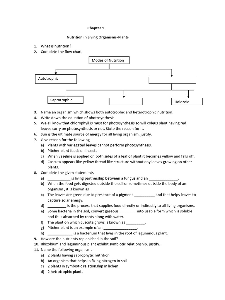 C-7 (ch-1 and 2) | PDF | Plants | Nutrition