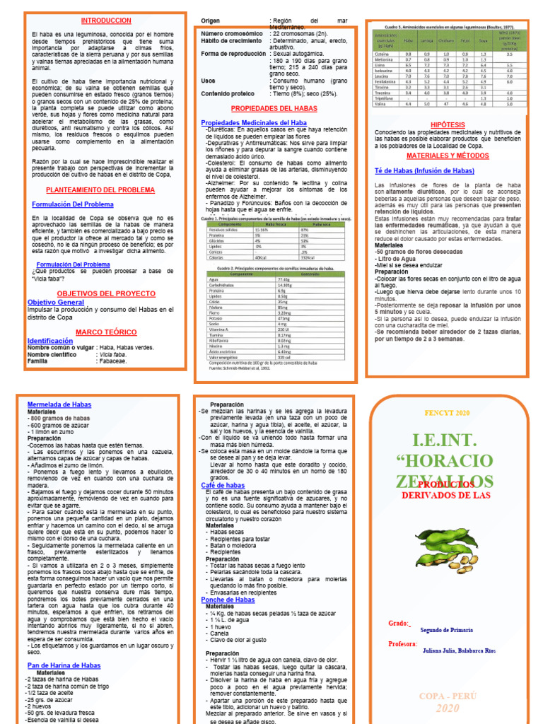 Modelo de Triptico Fencyt | Descargar gratis PDF | Alimentos | Legumbre