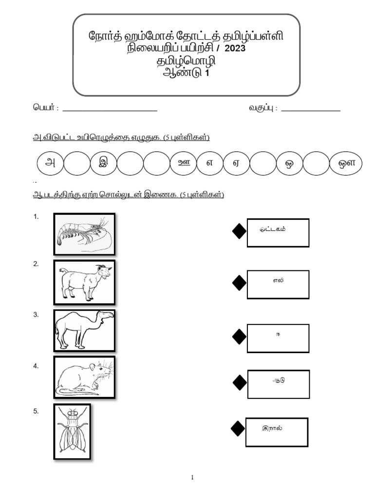 BT Mid Term Y1 | PDF