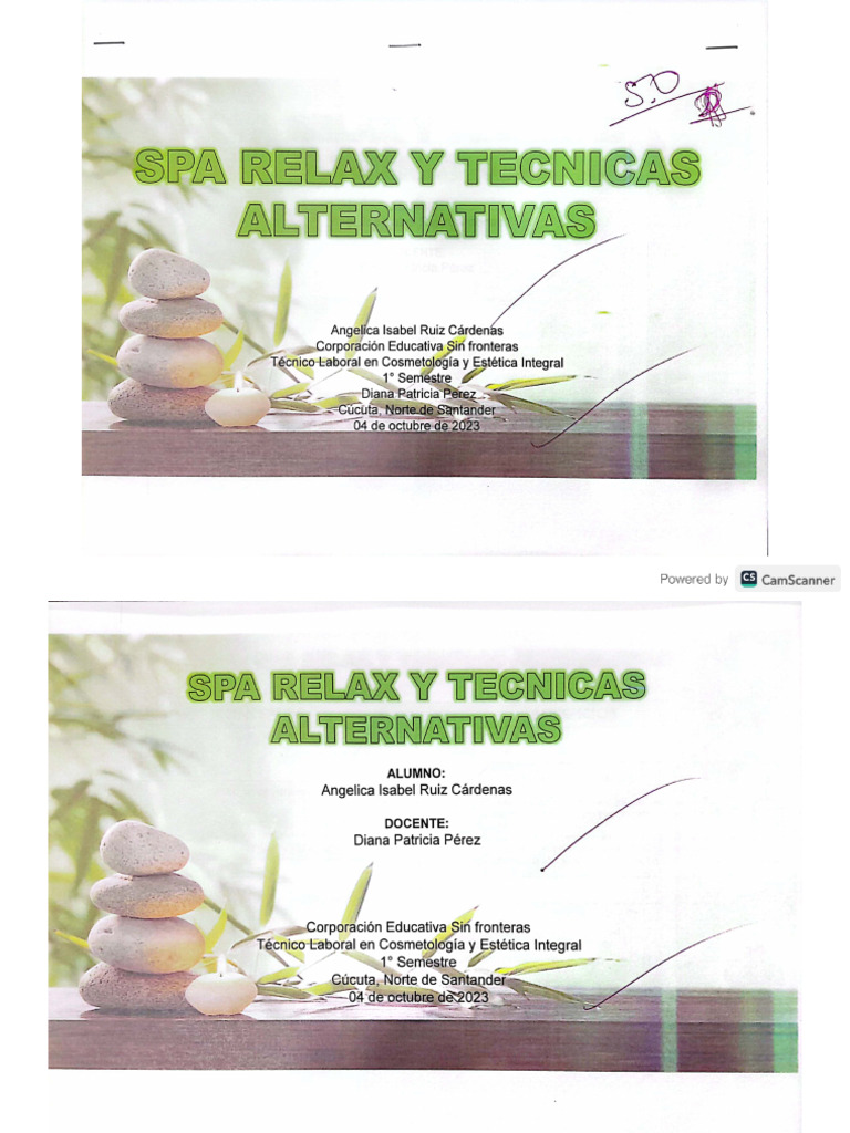 Infografia Spa Relax | PDF