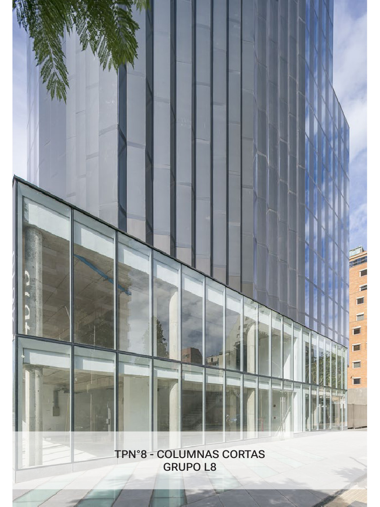 Tpn°8 - Columnas Cortas | PDF