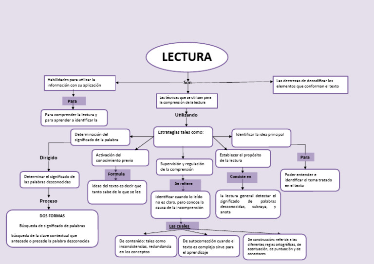 Mapa Conceptual de La Lectura | PDF | Comunicación | Neurociencia