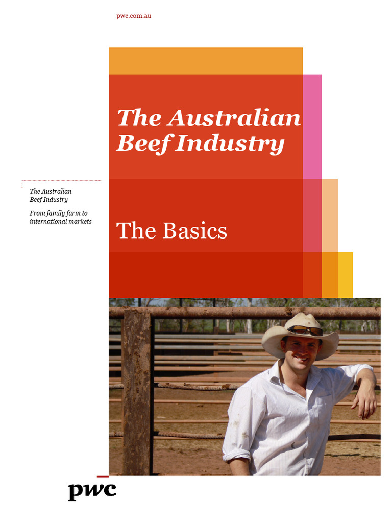Australian Beef Industry Nov11 | PDF | Cattle | Beef