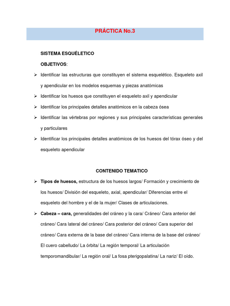 PRÃ CTICA No 3 | PDF | Esqueleto | Cráneo