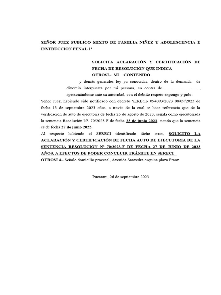 Subsana - Observacion en Sereci - Roberto Mamani | PDF