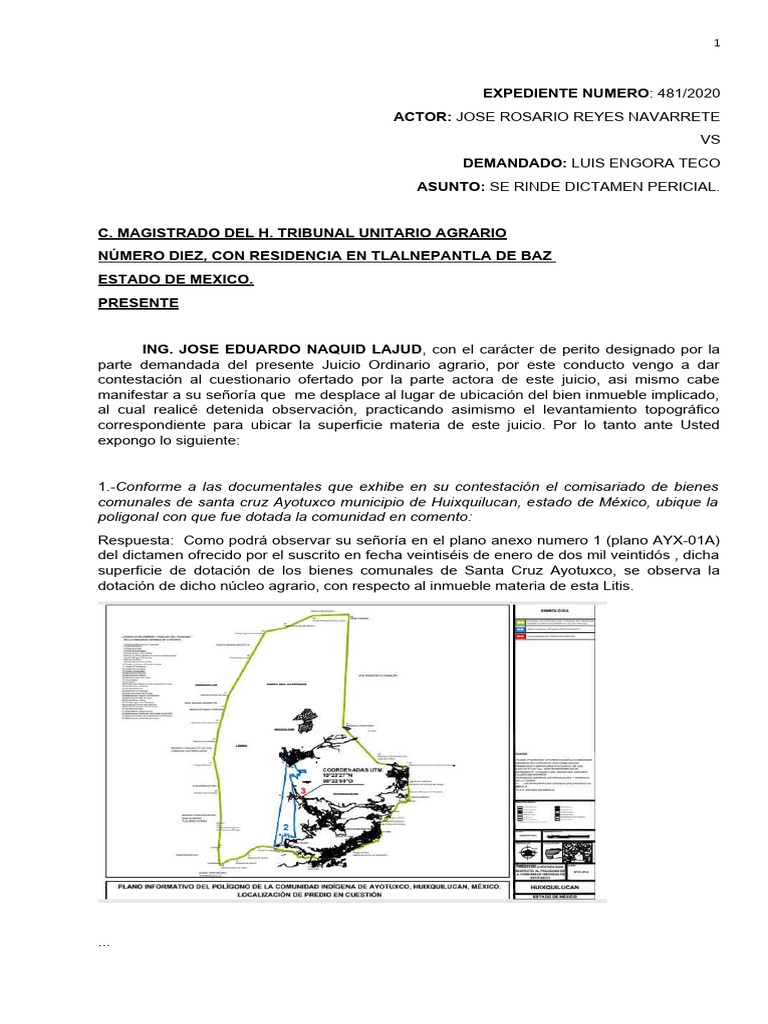 Dictamen Pericial | PDF