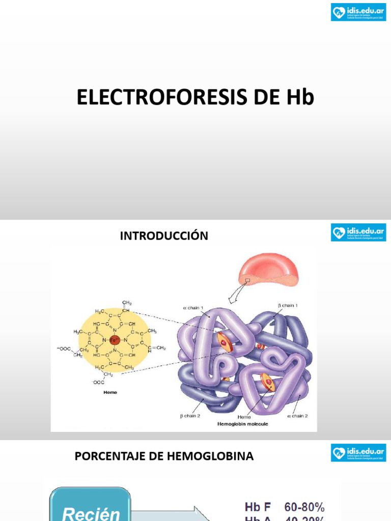 Clase 15 Electroforesis de HB | PDF | Sangre | Electroforesis