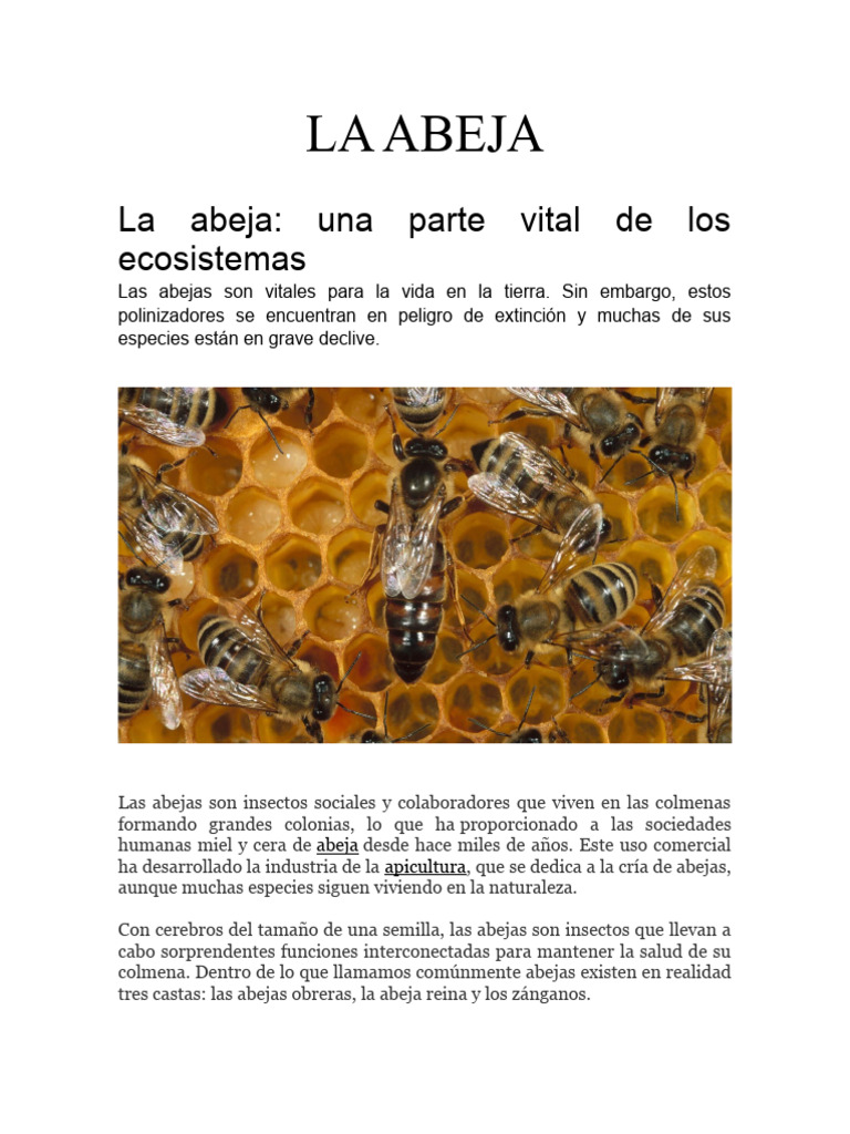 La Abeja | PDF
