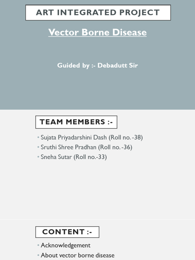 Art Integrated Project of Biology Class XII-B | PDF | Mosquito | Animal ...