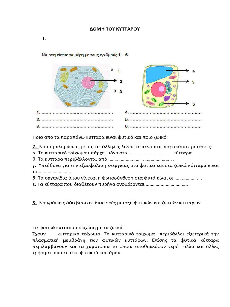 ΚΥΤΤΑΡΟ | PDF